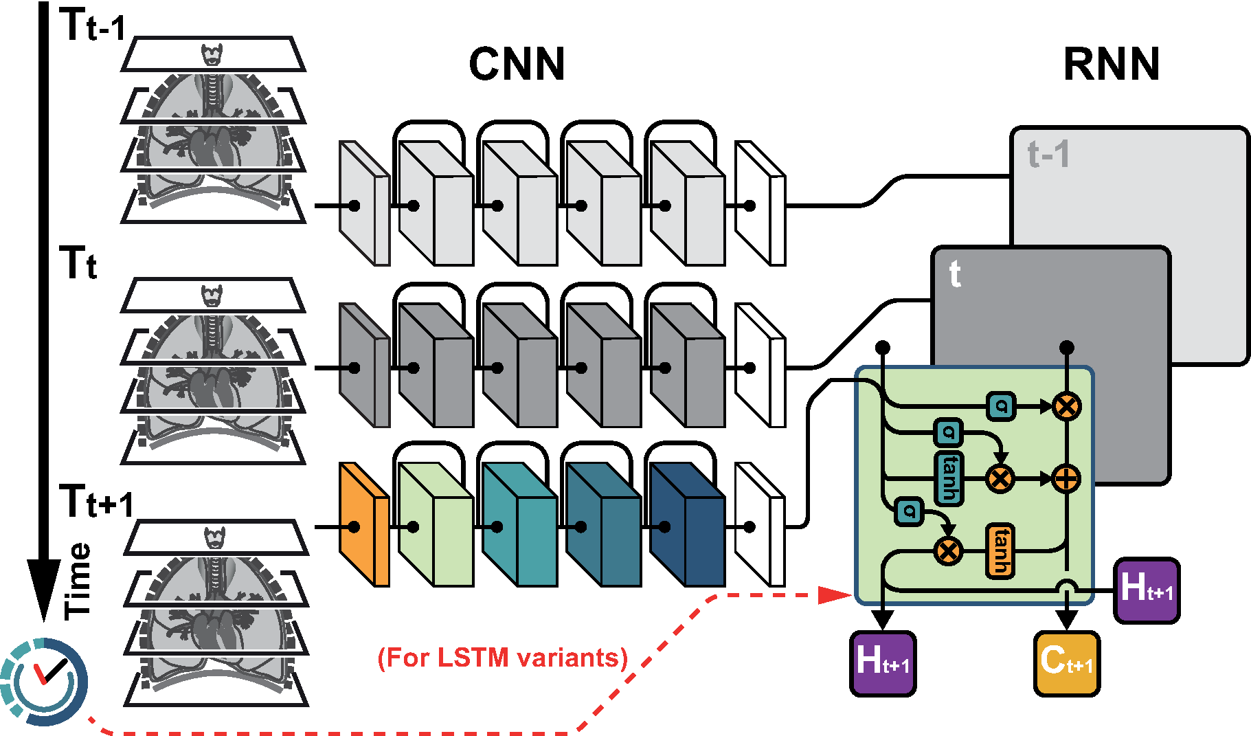 A Hybrid Cnn Rnn Approach For Survival Analysis In A Lung Cancer